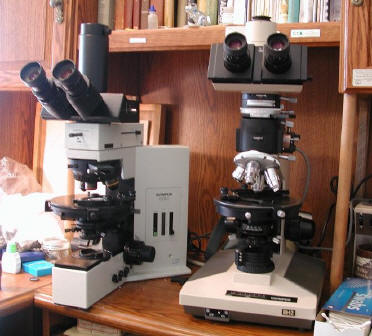 THE OLYMPUS BH-2 MICROSCOPES